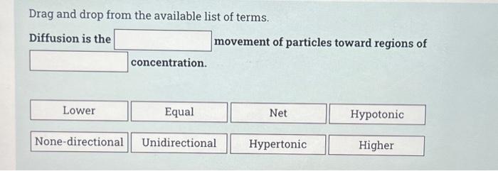 Solved Drag and drop from the available list of terms. | Chegg.com