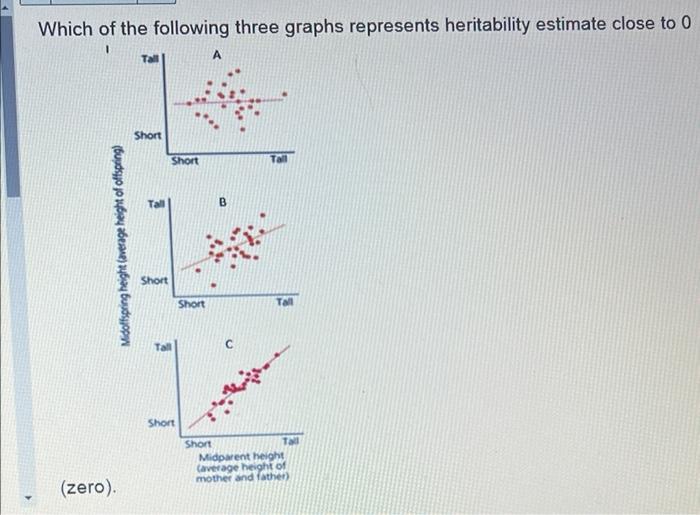 Solved How many different homozygous genotypes are possible | Chegg.com