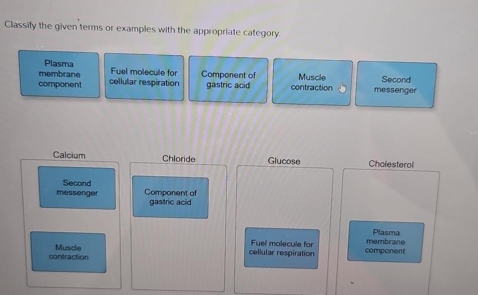 Solved Classify the given terms or examples with the | Chegg.com