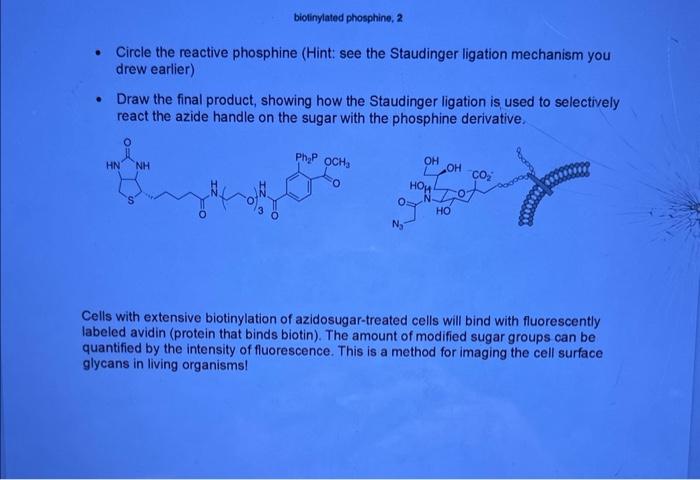 Solved Once the Ac4ManNAz is inside the cell, an esterase | Chegg.com