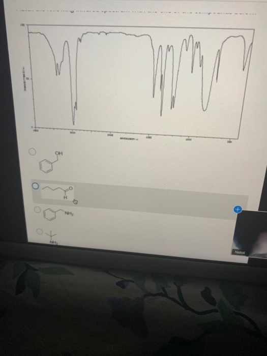 Solved Match the following infrared spectrum with the one of | Chegg.com