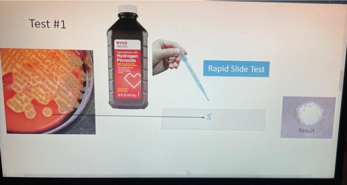 Solved Test #1 CVS Hydrogen Peroxide Rapid Slide Test SER ह | Chegg.com