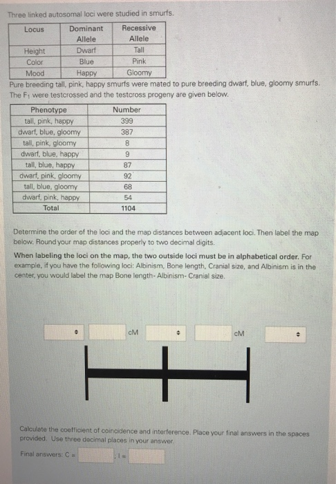 Solved Three linked autosomal loci were studied in smurfs. | Chegg.com