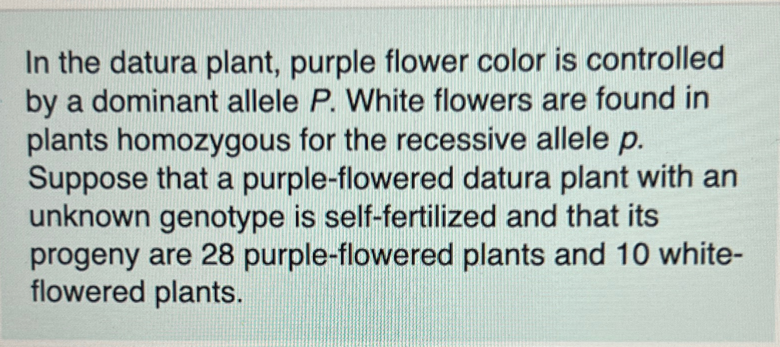 Solved In the datura plant, purple flower color is | Chegg.com