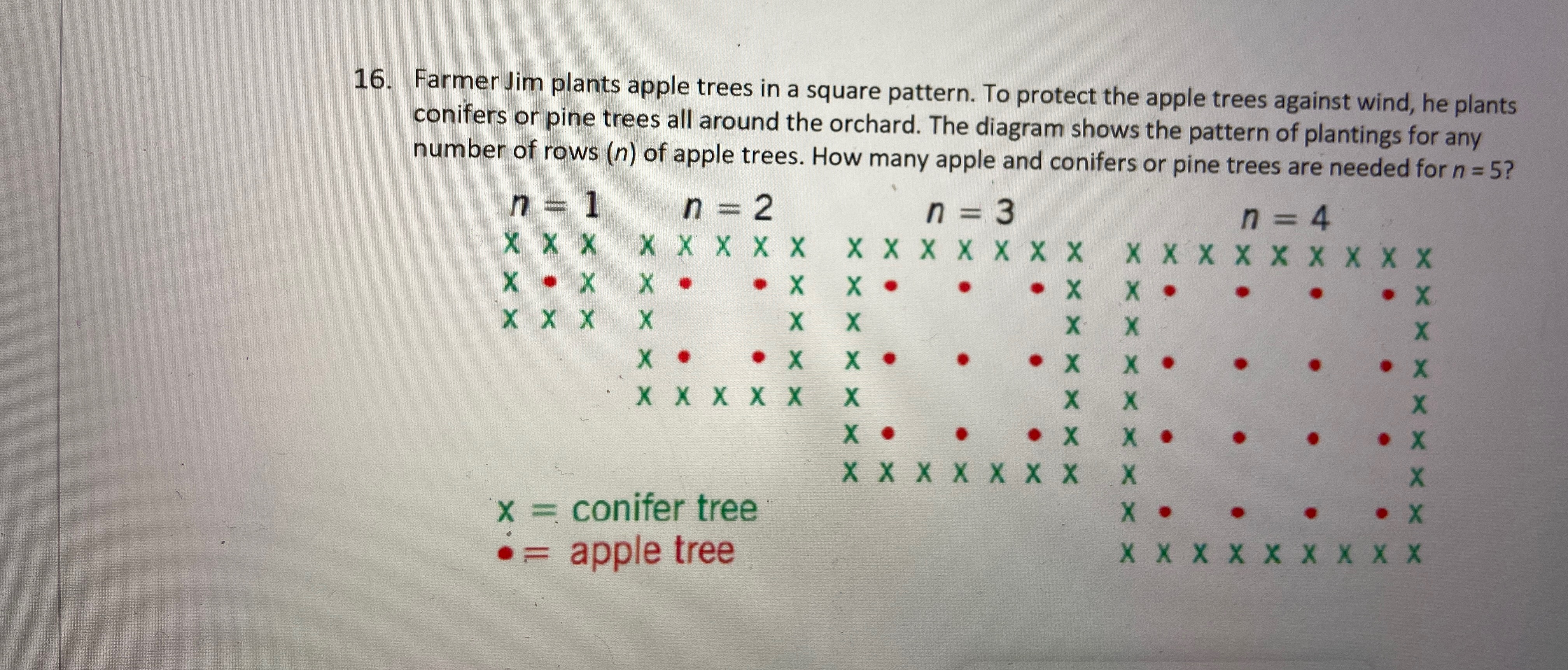 Solved Farmer Jim plants apple trees in a square pattern. To | Chegg.com