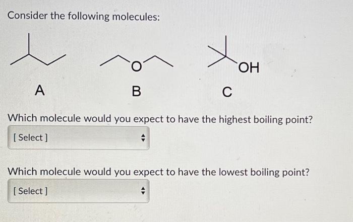 Solved Consider the following molecules: A B C | Chegg.com