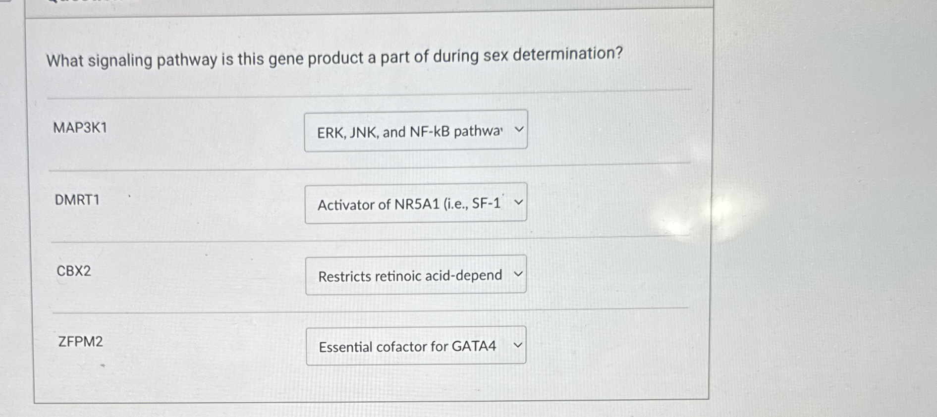 Solved What signaling pathway is this gene product a part of | Chegg.com