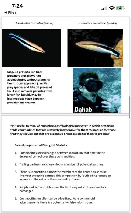 Solved Question 38 (10 points) Use the cleaner fish-client | Chegg.com