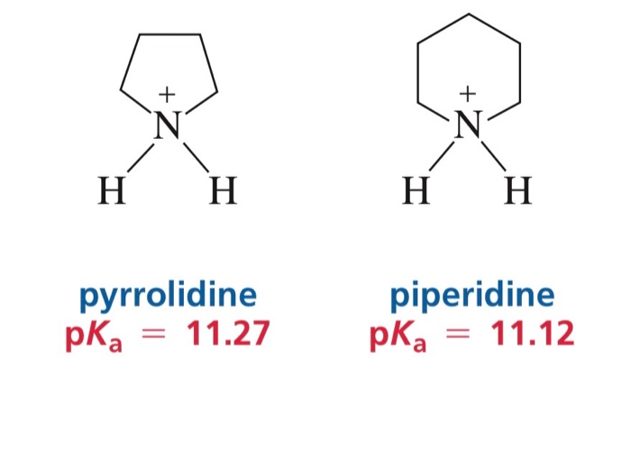 Solved Η Η Η Η pyrrolidine pK, = 11.27 piperidine pK = 11.12 | Chegg.com