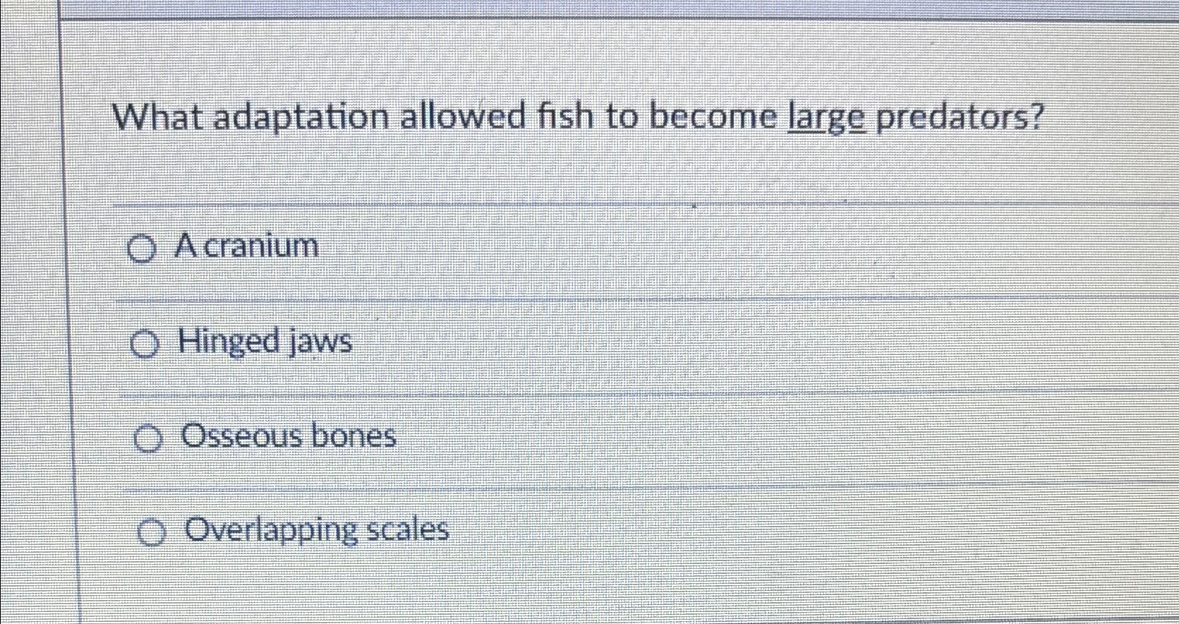 Solved What adaptation allowed fish to become large | Chegg.com