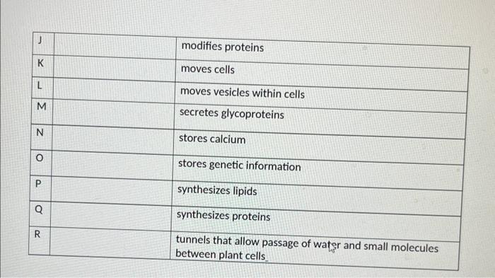Solved Part 1 This Activity Will Help You Identify