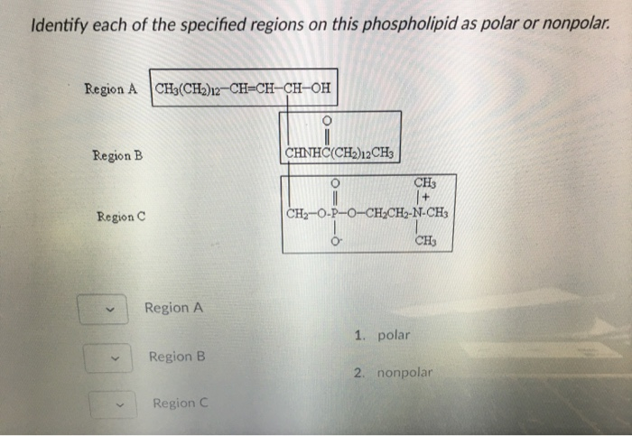 Solved Identify each of the specified regions on this | Chegg.com