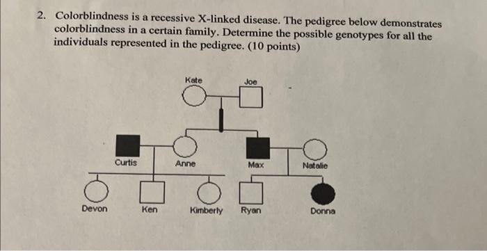 Solved 2 Colorblindness Is A Recessive X Linked Disease 3424