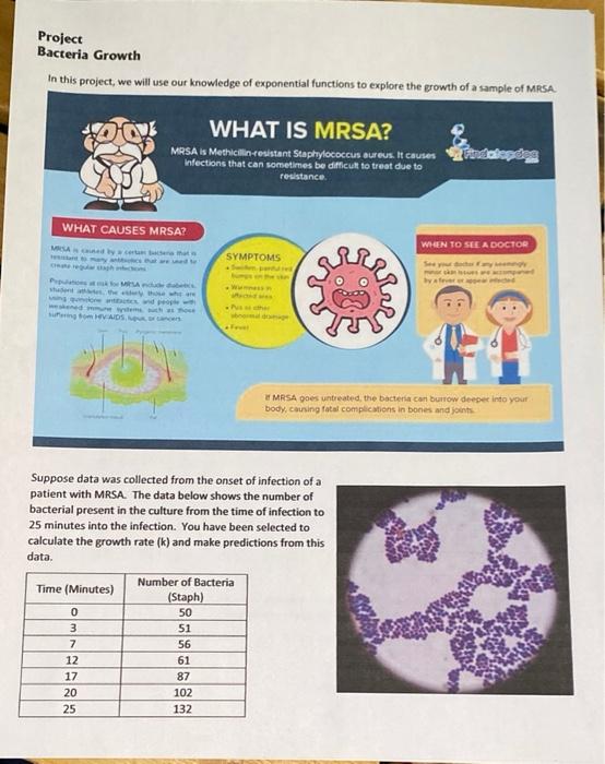 Solved Project Bacteria Growth In this project, we will use | Chegg.com