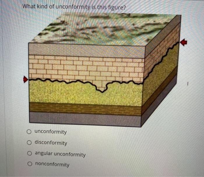 Solved What type of unconformity in this? O nonconformity O | Chegg.com