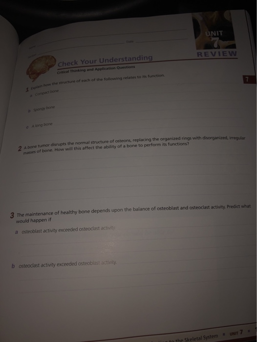 Solved UNIT REVIEW Check Your Understanding ctical Thinking | Chegg.com