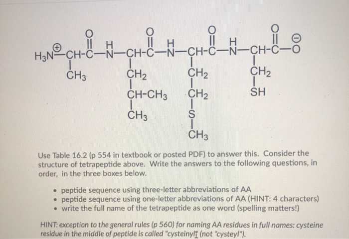 Solved IZ Oo -N -CH-C N -CH-C -N HON -CH-C- CH3 CH2 CH2 CH2 | Chegg.com