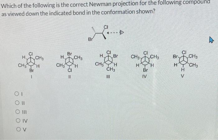 Solved Which of the following is the correct Newman | Chegg.com
