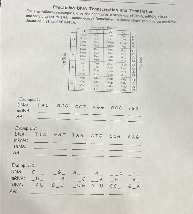 Practicing DNA Transcription and Translation For the | Chegg.com