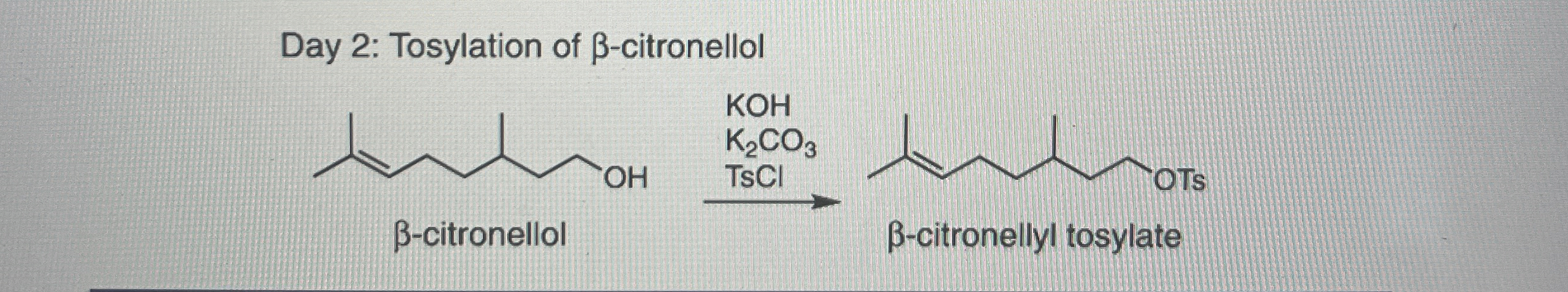 Solved Day 2: Tosylation of β-citronellolDraw the mechanism | Chegg.com