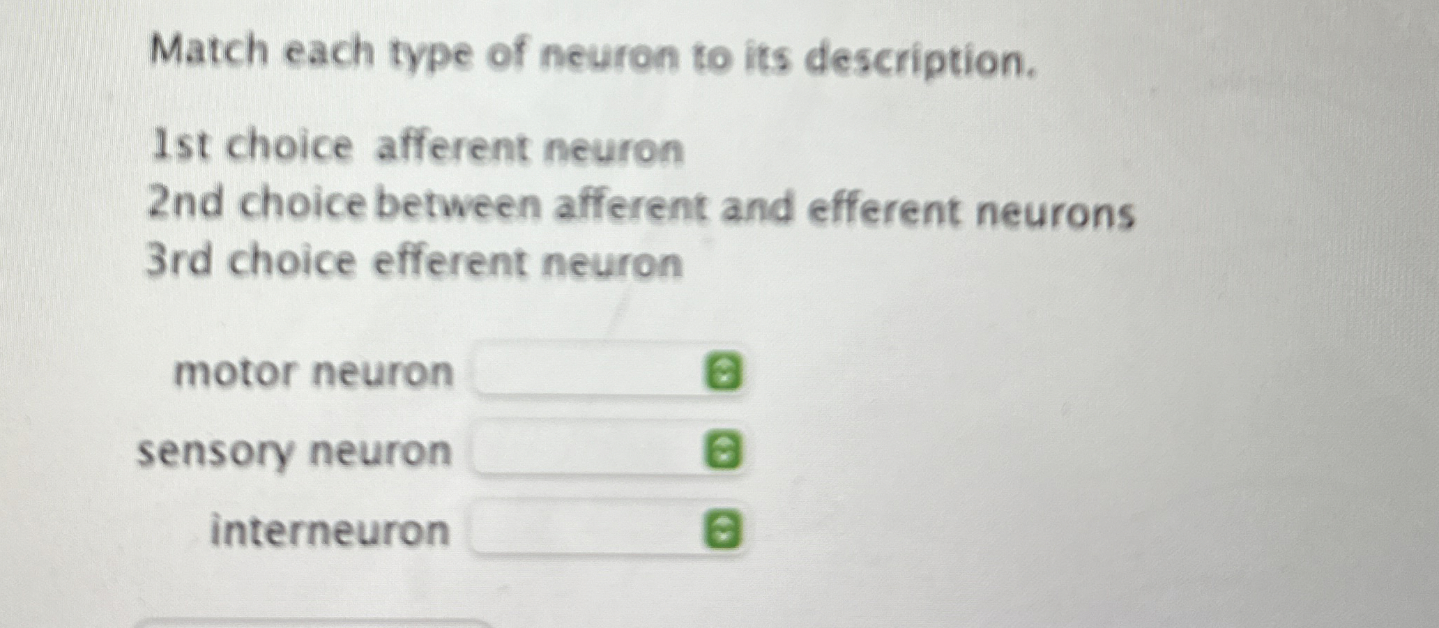 Solved Match each type of neuron to its description.Ist | Chegg.com