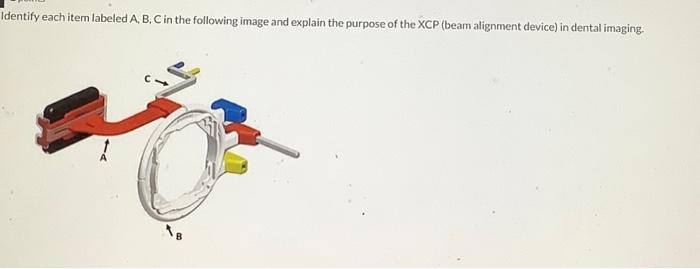 Solved dentify each item labeled A, B, C in the following | Chegg.com