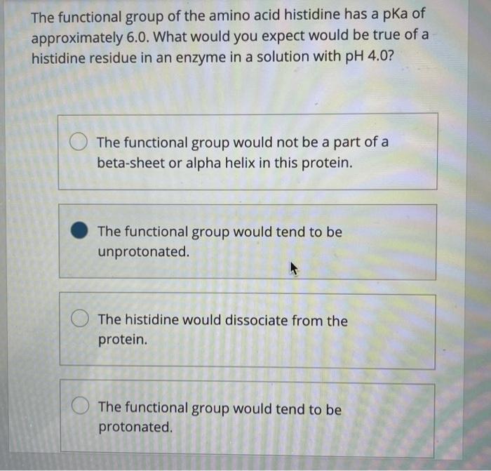 Solved The functional group of the amino acid histidine has | Chegg.com