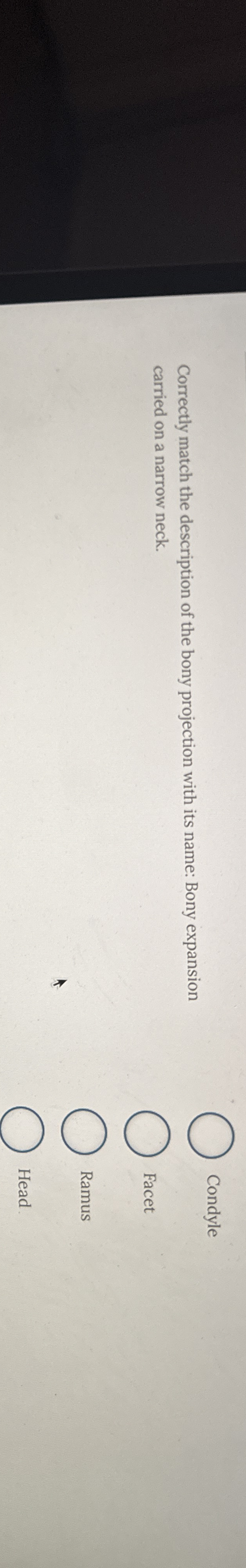 Solved Correctly match the description of the bony | Chegg.com