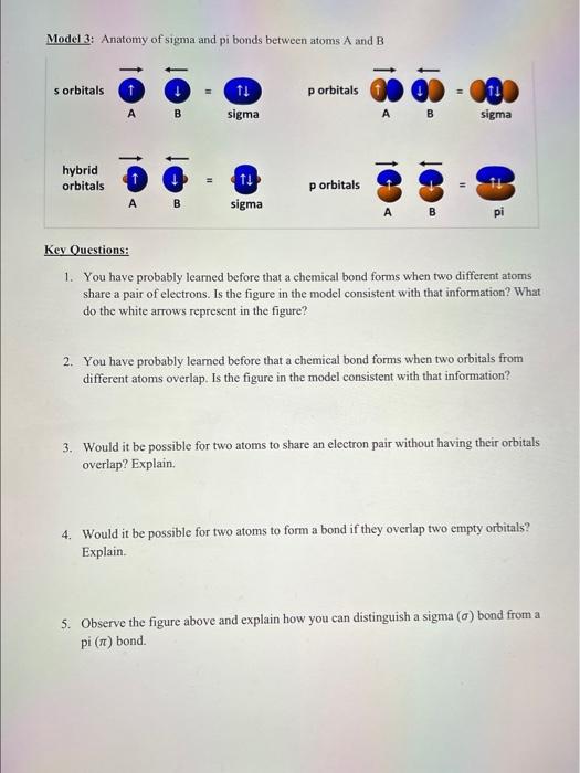 Solved Model 3: Anatomy of sigma and pi bonds between atoms | Chegg.com