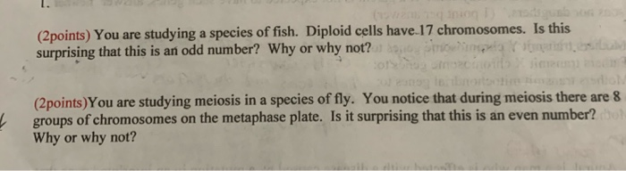 Solved (2points) You are studying a species of fish. Diploid | Chegg.com