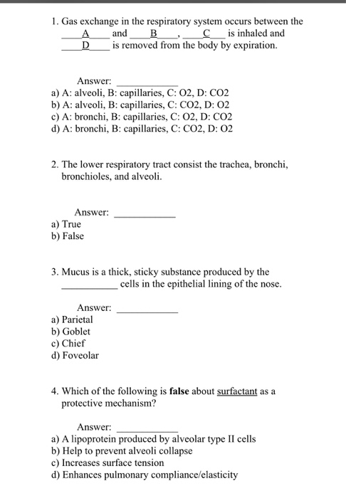 Solved 1. Gas exchange in the respiratory system occurs | Chegg.com