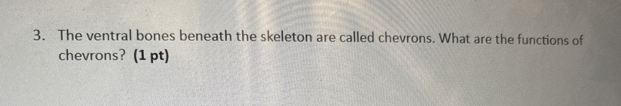 Solved The ventral bones beneath the skeleton are called | Chegg.com