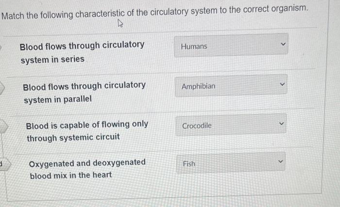 Solved Match the following characteristic of the circulatory | Chegg.com