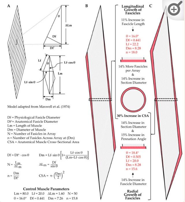 Solved Below is an image alongside a picture of the | Chegg.com