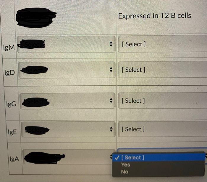 Solved Is the IgM domain expressed in T2 B cells and so on | Chegg.com