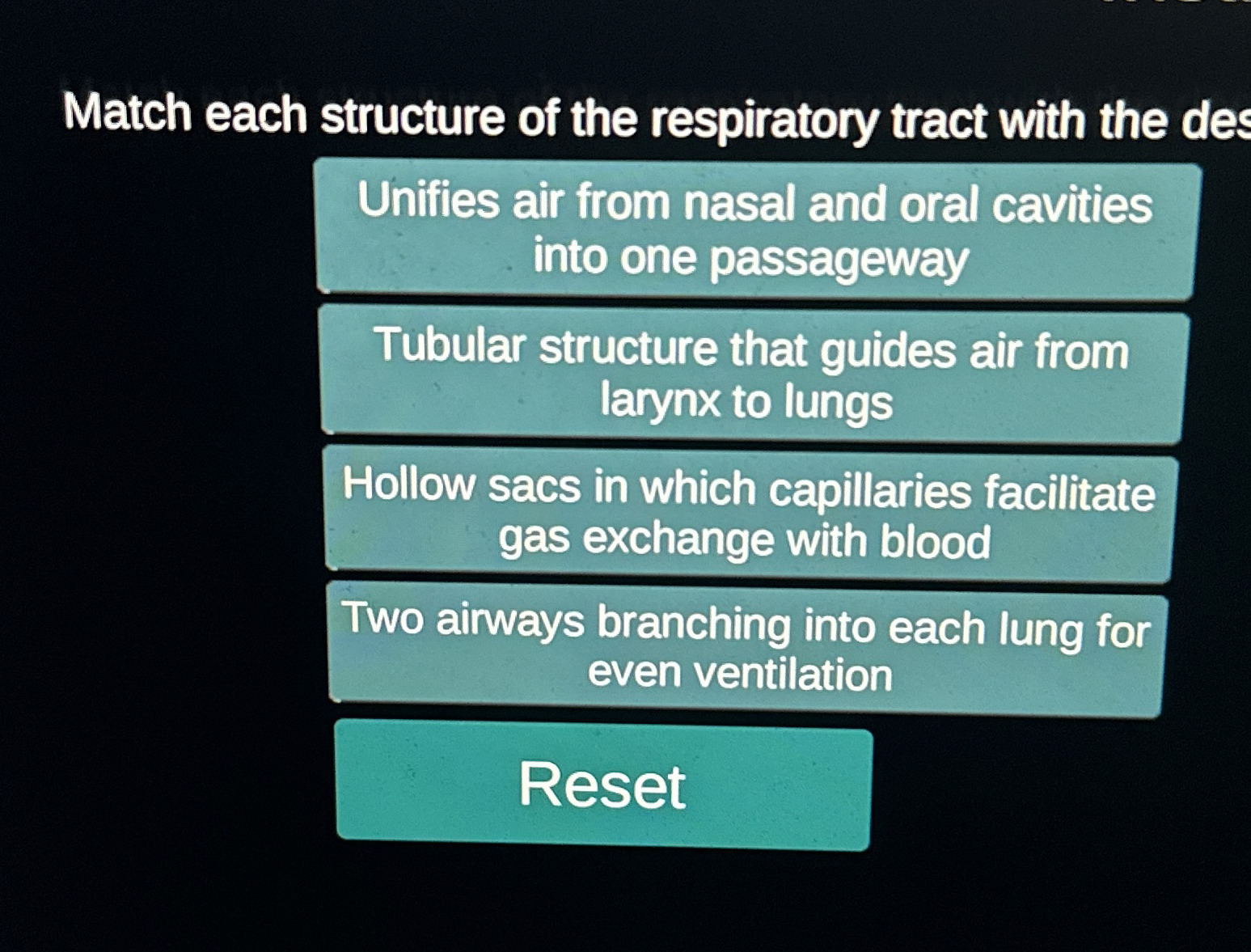 Solved Match each structure of the respiratory tract with | Chegg.com