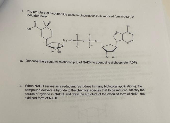 Solved 7. The structure of nicotinamide adenine dinucleotide | Chegg.com