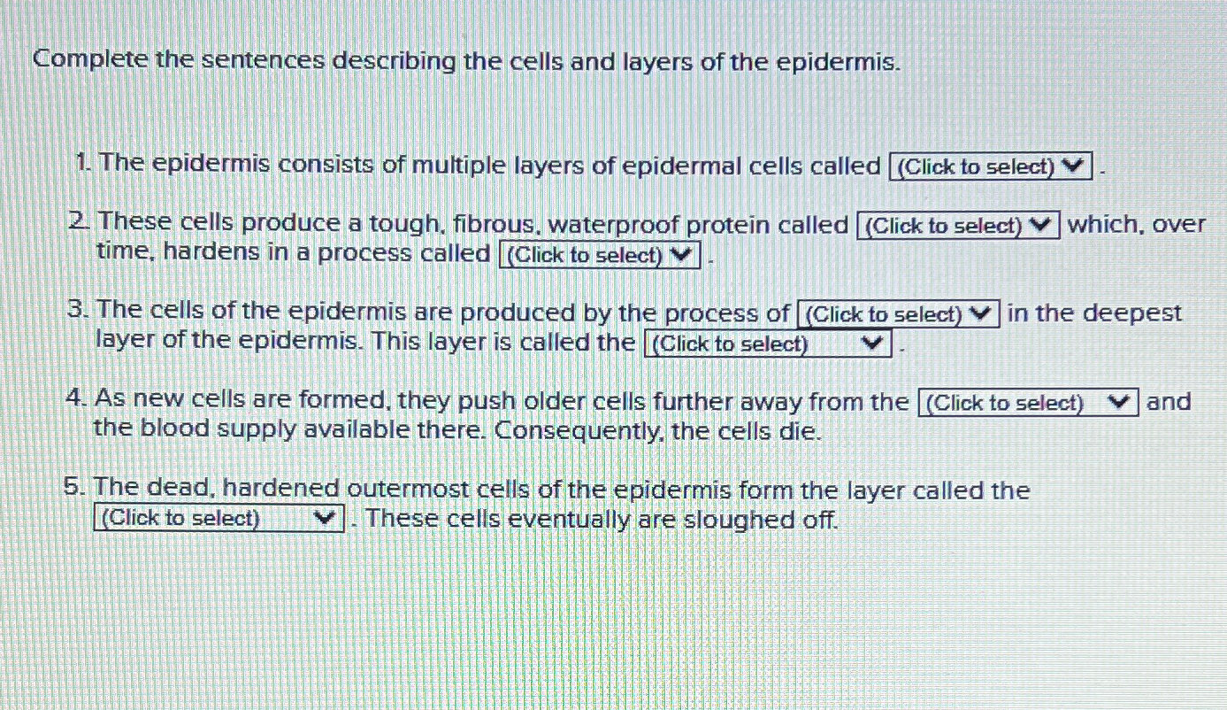 Solved Complete the sentences describing the cells and | Chegg.com