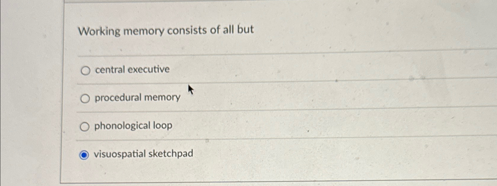 Solved Working memory consists of all butcentral | Chegg.com