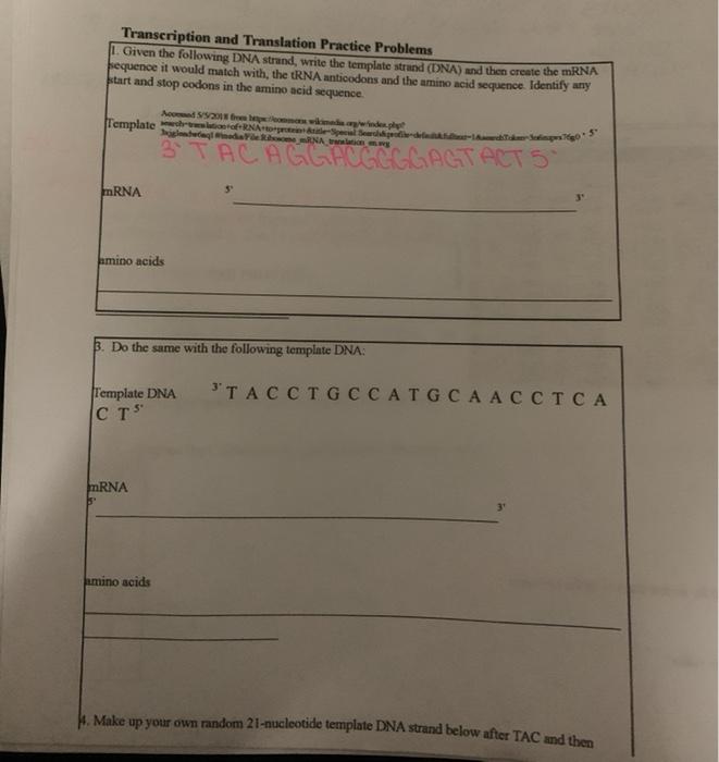 Solved Transcription and Translation Practice Problems I. | Chegg.com
