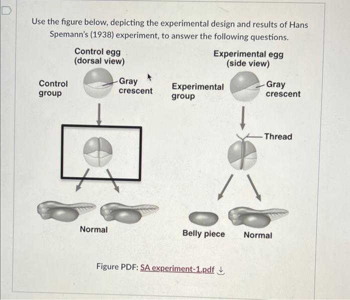 Solved Use the figure below, depicting the experimental | Chegg.com