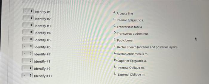 Solved QUESTION 1Identify \#1 Identify #2 Identify #3 | Chegg.com