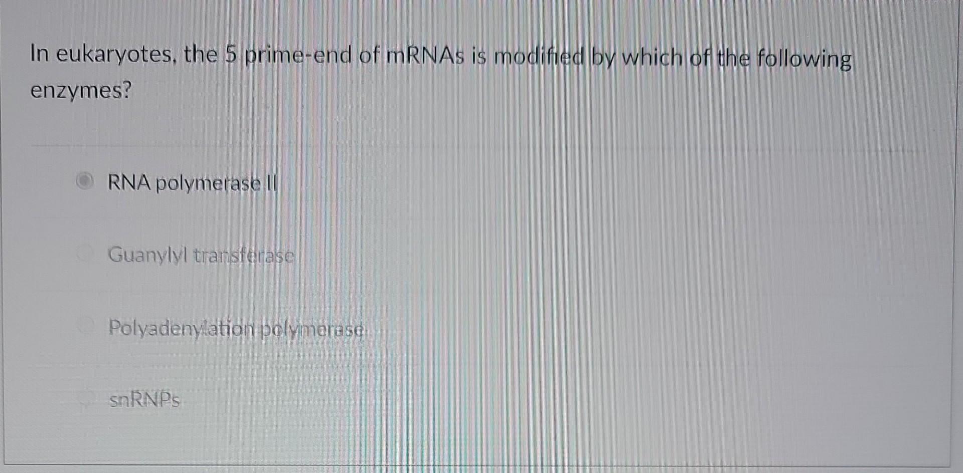 Solved In eukaryotes, the 5 prime-end of mRNAs is modified | Chegg.com