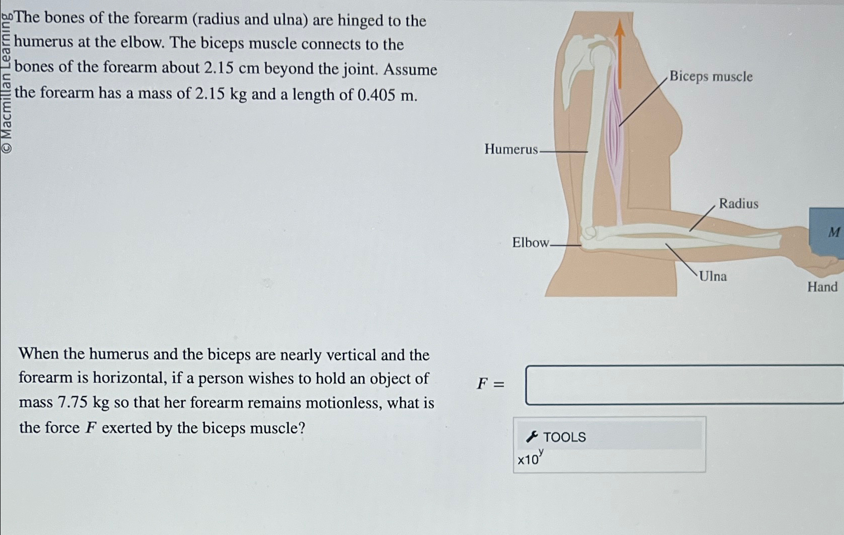 Solved Whe bones of the forearm (radius and ulna) ﻿are | Chegg.com