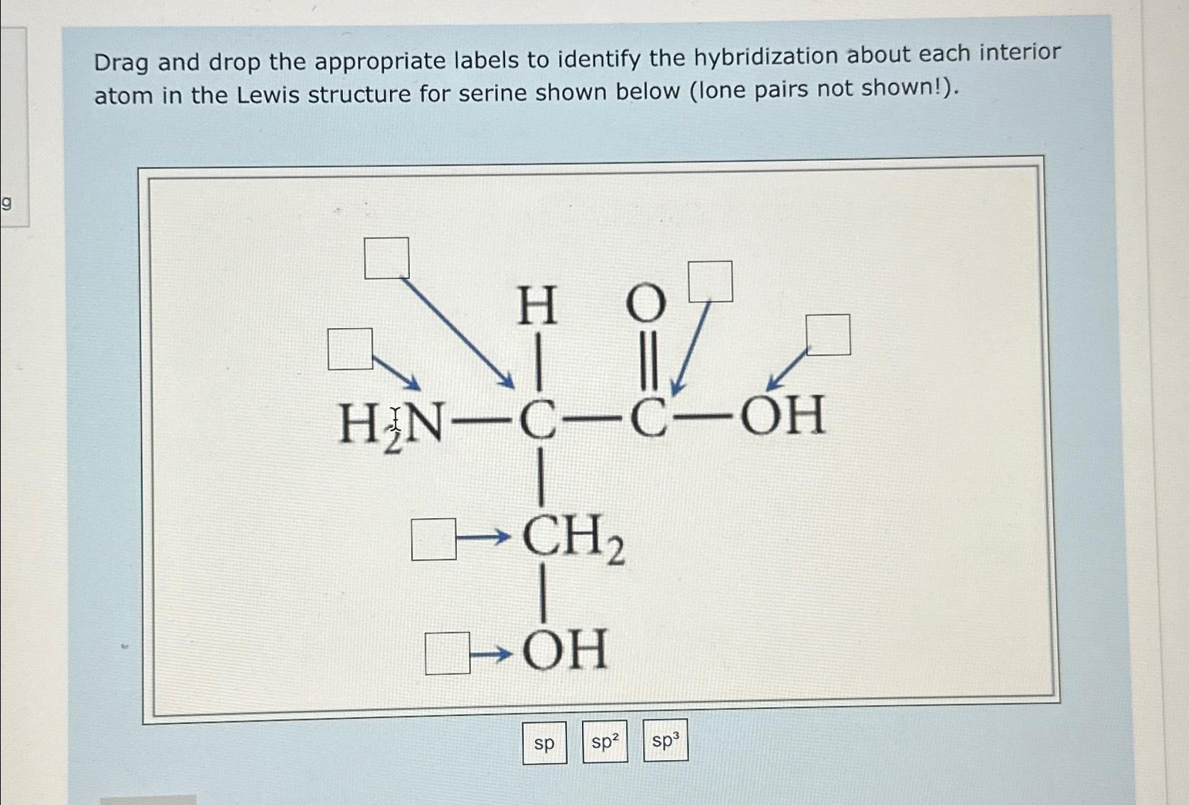 Solved Drag and drop the appropriate labels to identify the | Chegg.com