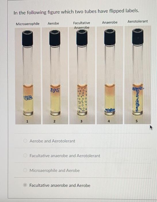 [Solved]: In the following figure which two tubes have flip