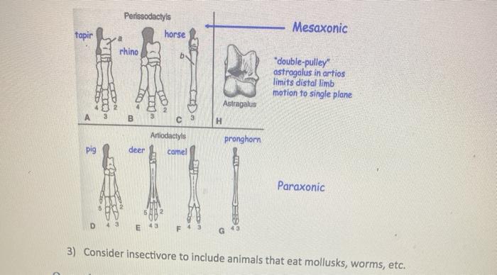 30 no no no 10 no birth 10 birth Layee yes 1. Number | Chegg.com