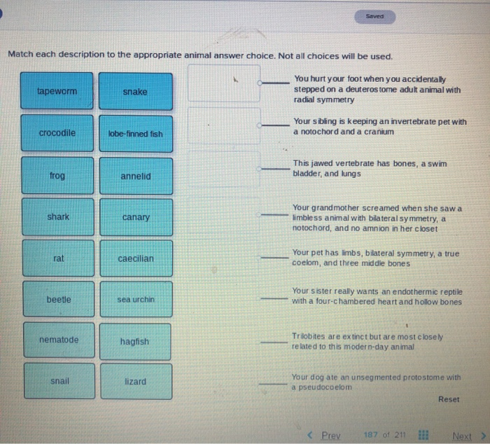 Solved Saved Match each description to the appropriate | Chegg.com