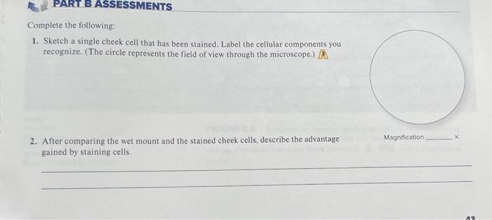 Solved Complete the following: 1. Sketch a single cheek cell | Chegg.com