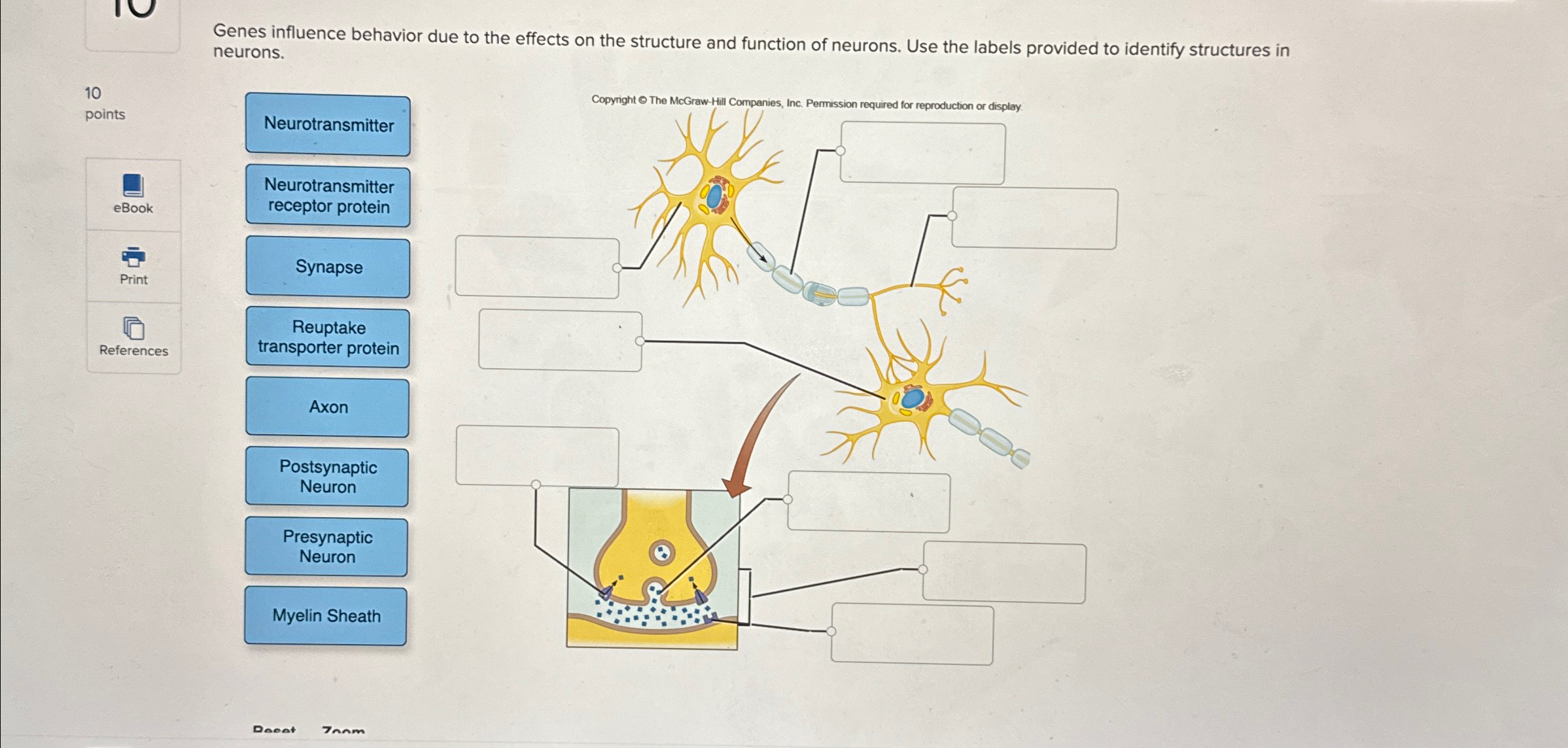 Solved Genes influence behavior due to the effects on the | Chegg.com